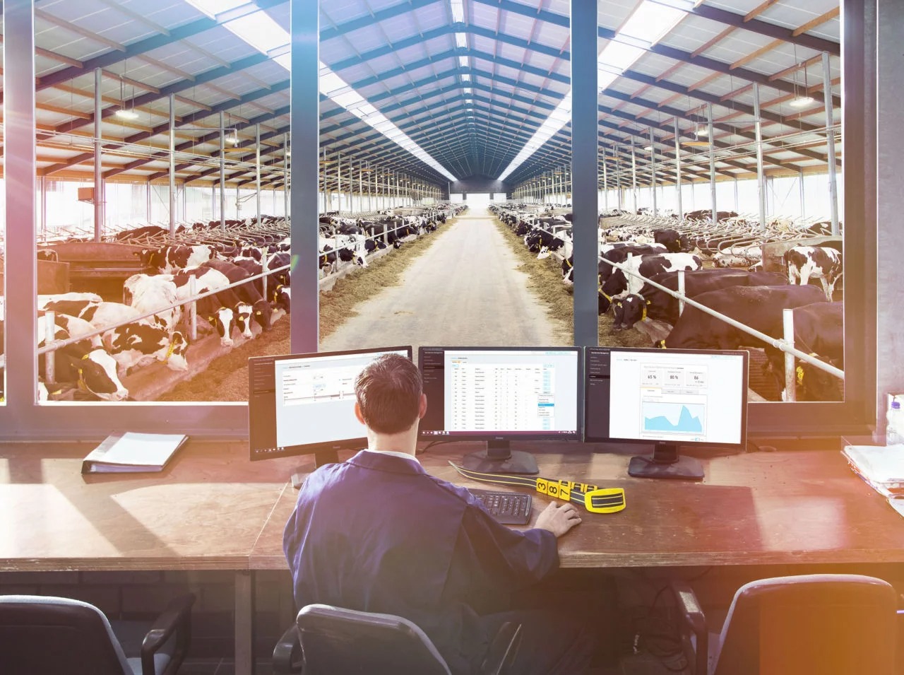 Two EuroTier Innovation Awards for new Nedap solutions - Dairy Farming