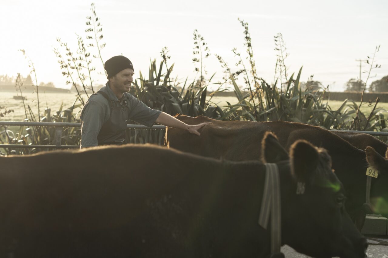 Cow Locating - Dairy Farming