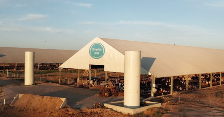 Riverina Milk - Dairy Farming