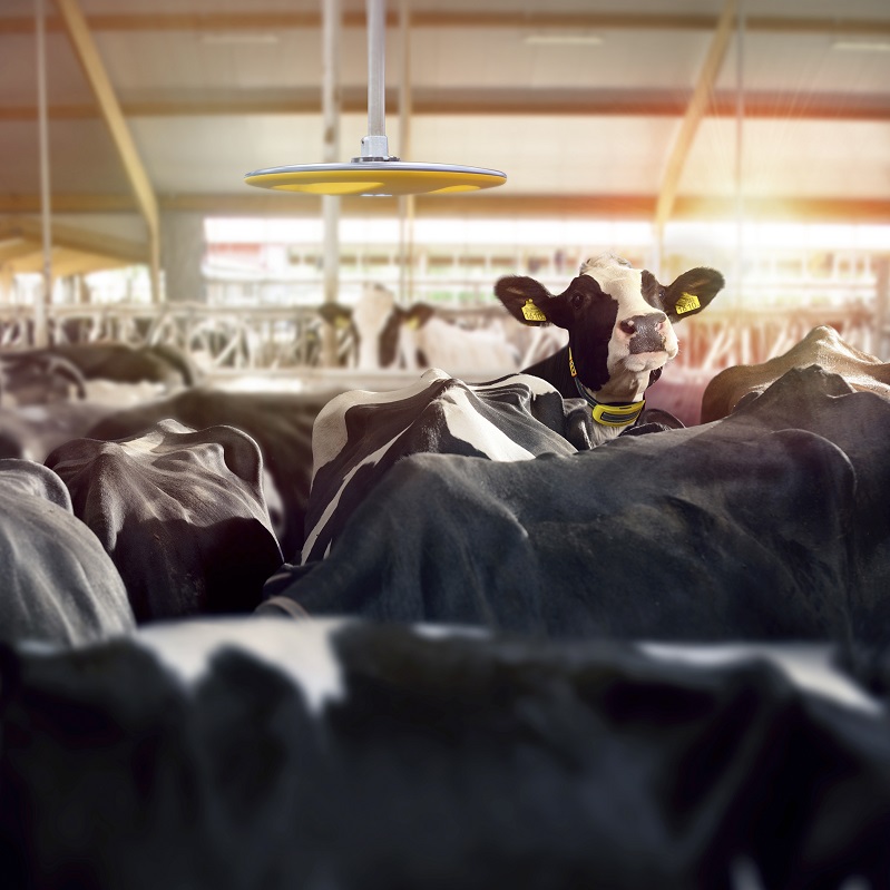 3 big benefits of cow locating - Dairy Farming